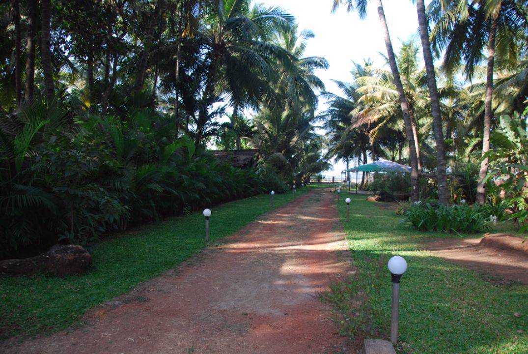 Beach Touching Homestay | Beachcroft | Palande, Dapoli