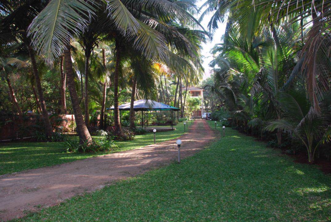 Beach Touching Homestay | Beachcroft | Palande, Dapoli